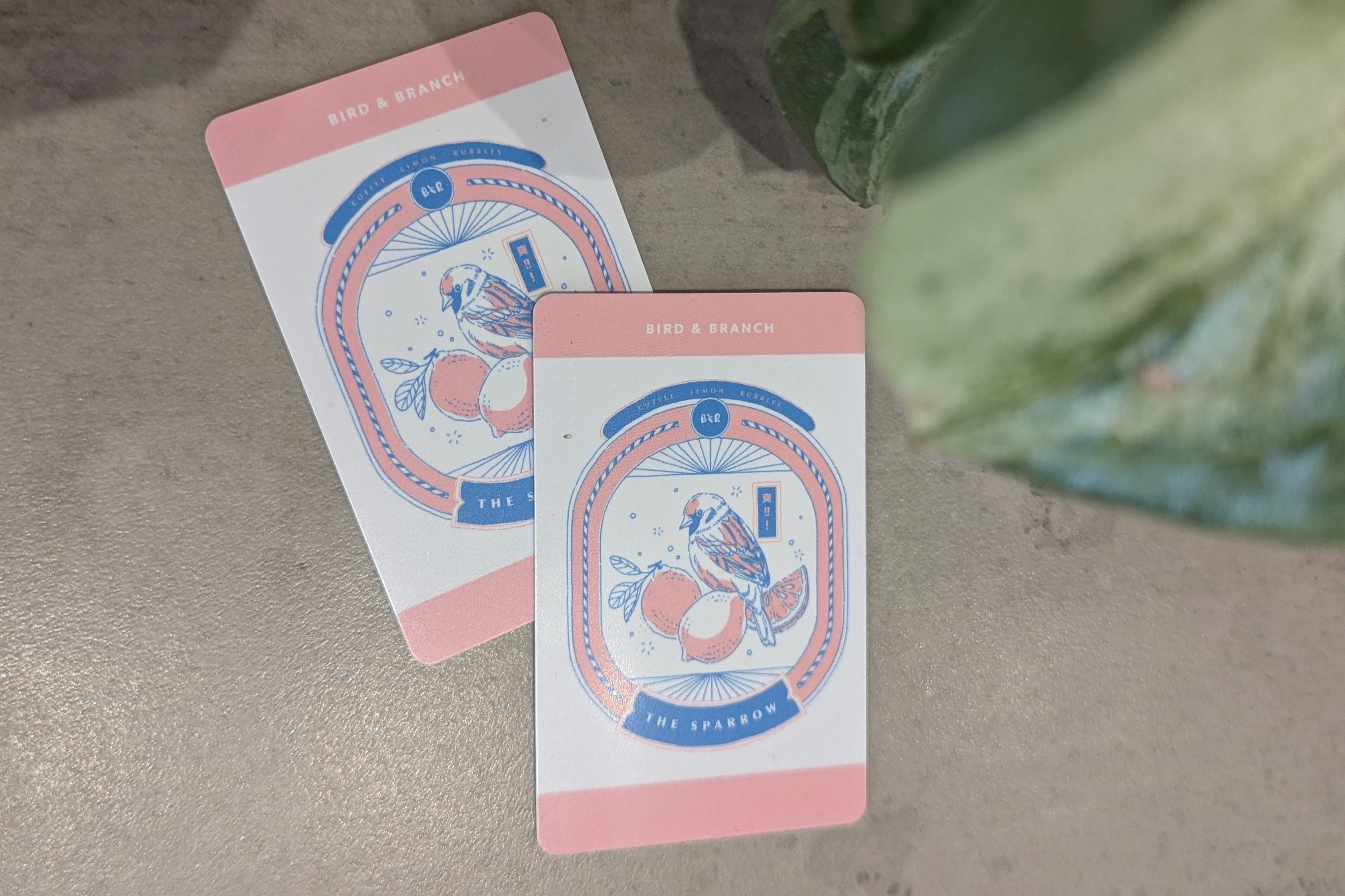 Gift Card For Use In-Store – Bird & Branch